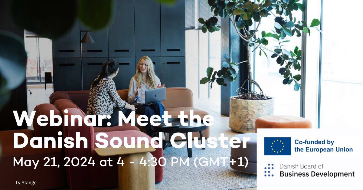 Webinar: Opportunities in the Danish Sound Cluster